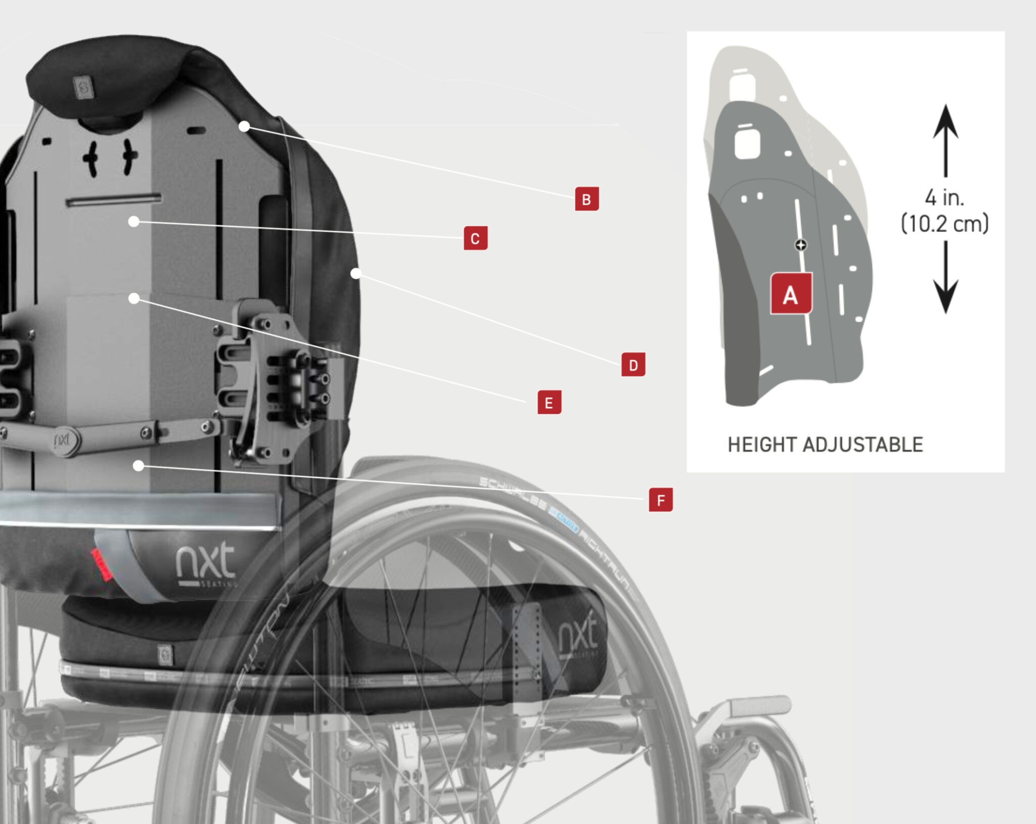 NXT Xtend Low Back Support - Seating and Positioning - GTK