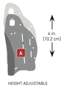 NXT Xtend Back Support - Seating and Positioning - GTK