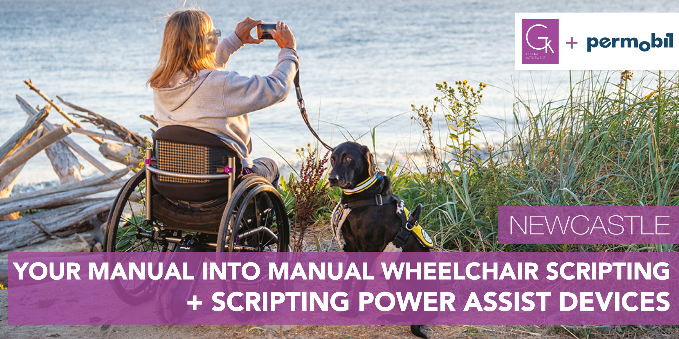 Your Manual into Manual Wheelchair Scripting / Scripting Power Assist ...